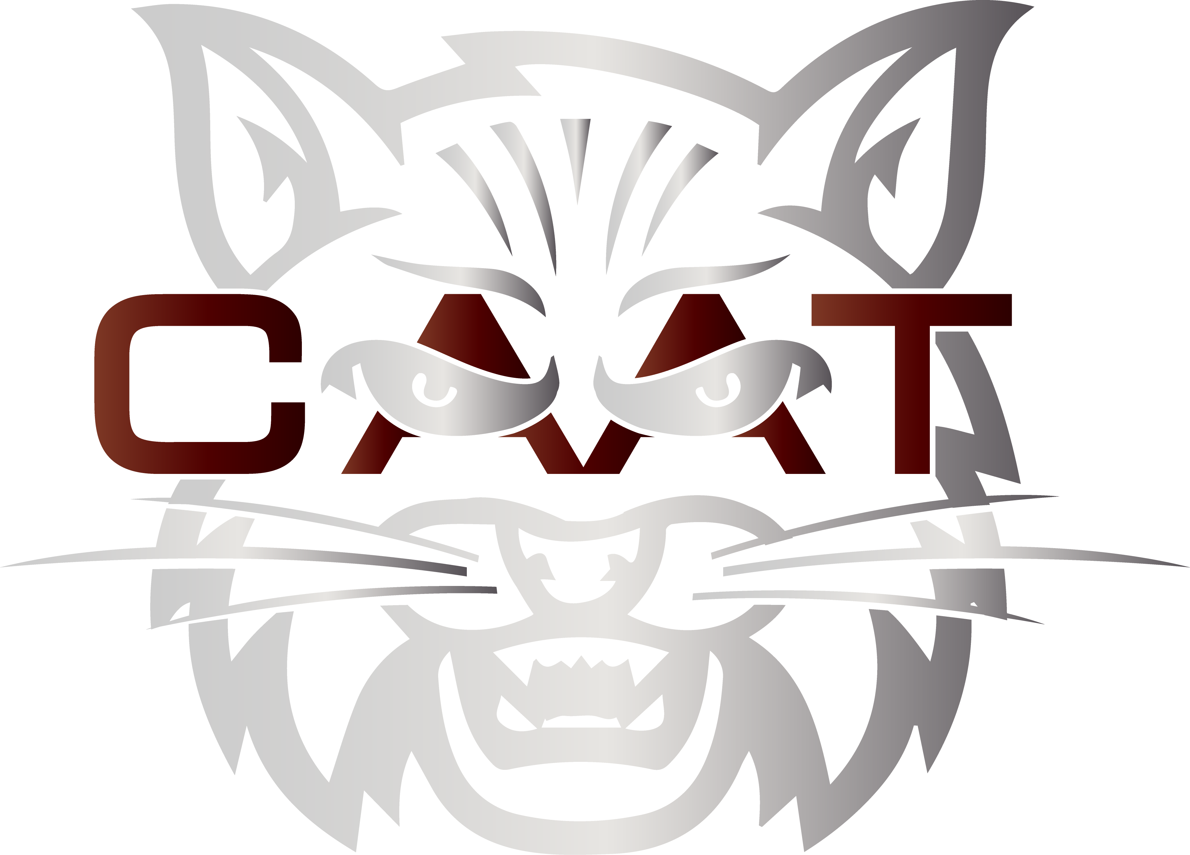 Competitive Advantage Athletic Training (CAAT) – CAAT Wildcaats